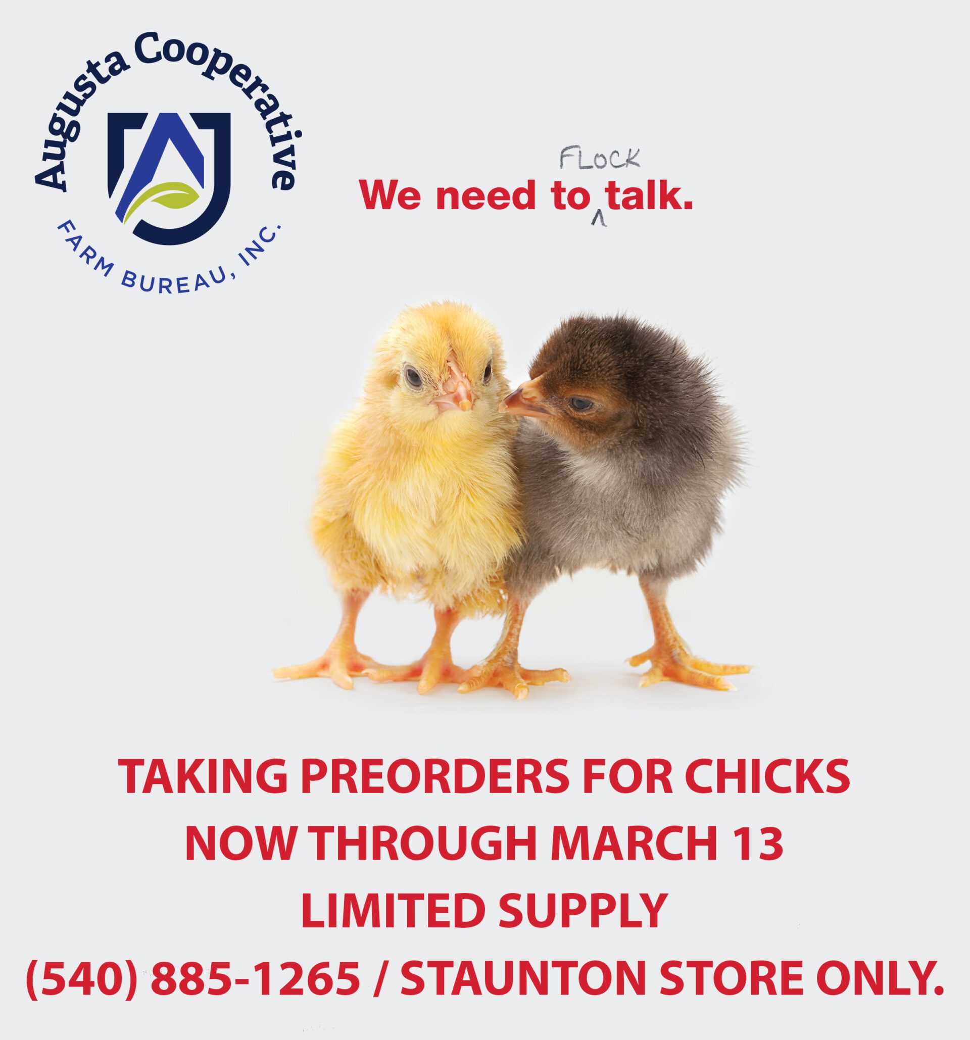 Preorder Chicks Now Through March 13! Limited Supply. - Augusta ...